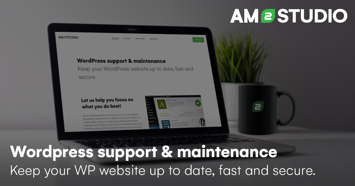 Support & Maintenance - AM2 Studio